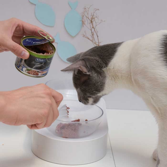 Comida para gatos en Peru | Cat-oh pet shop Miraflores